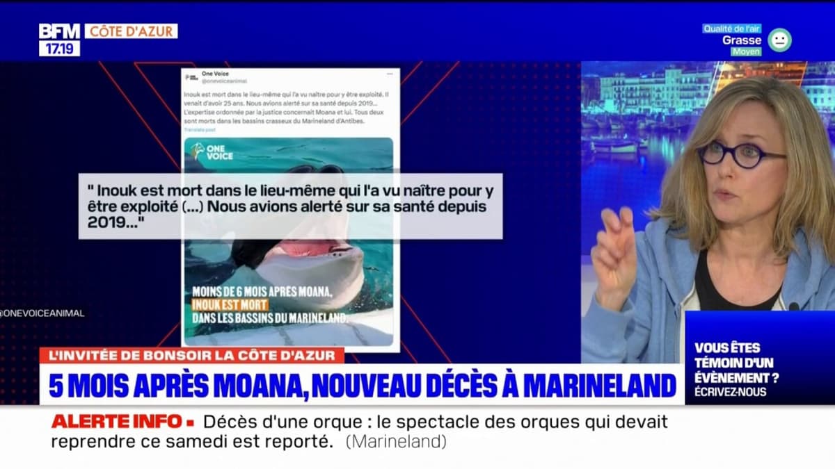 "Il faut que cela s'arrête": l'association One Voice porte plainte ...