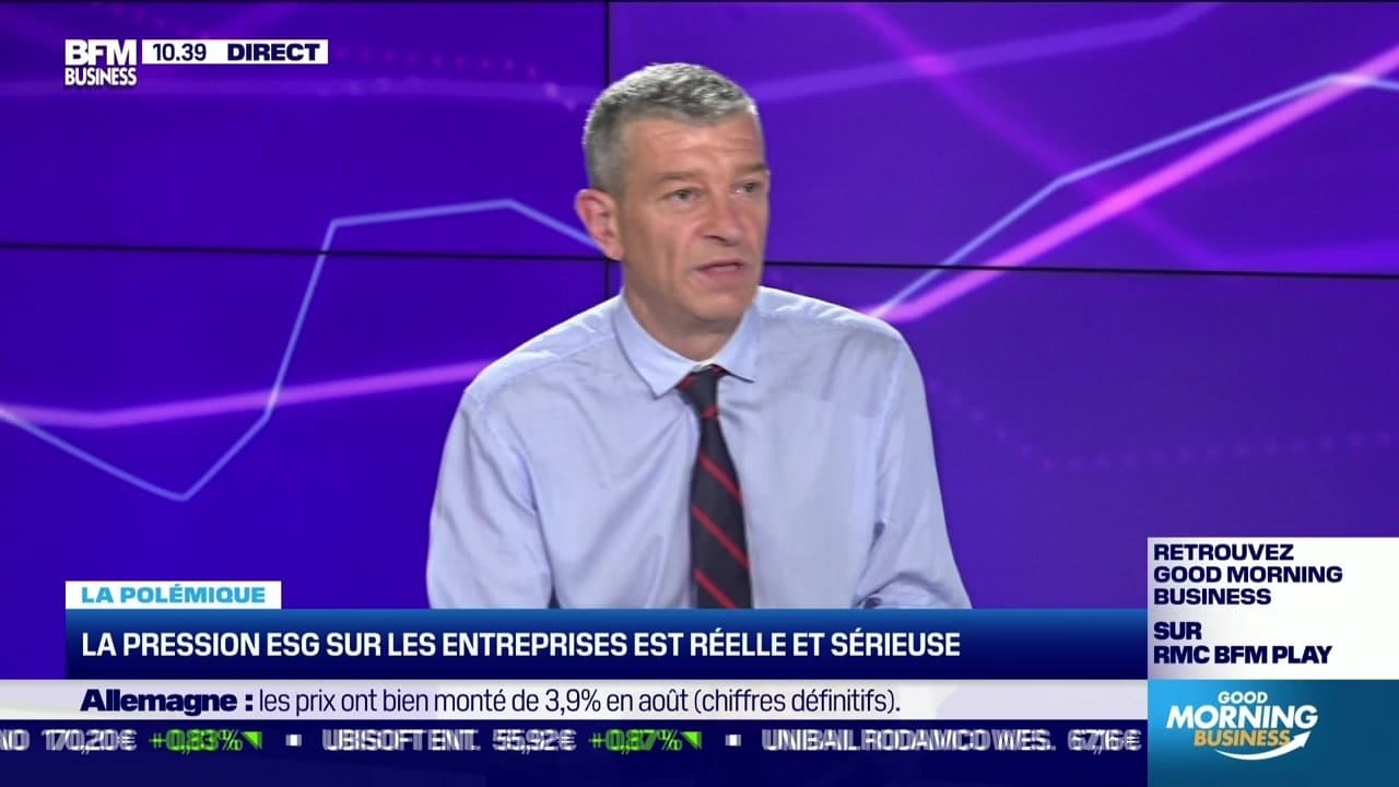 Nicolas Doze : La pression ESG sur les entreprises est réelle et ...