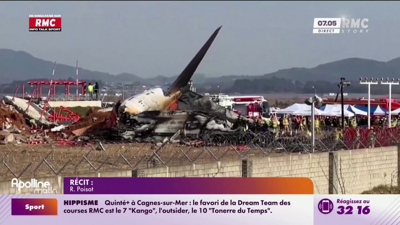 Crash d'un avion en Corée du Sud: la piste d'une collision avec des oiseaux privilégiée