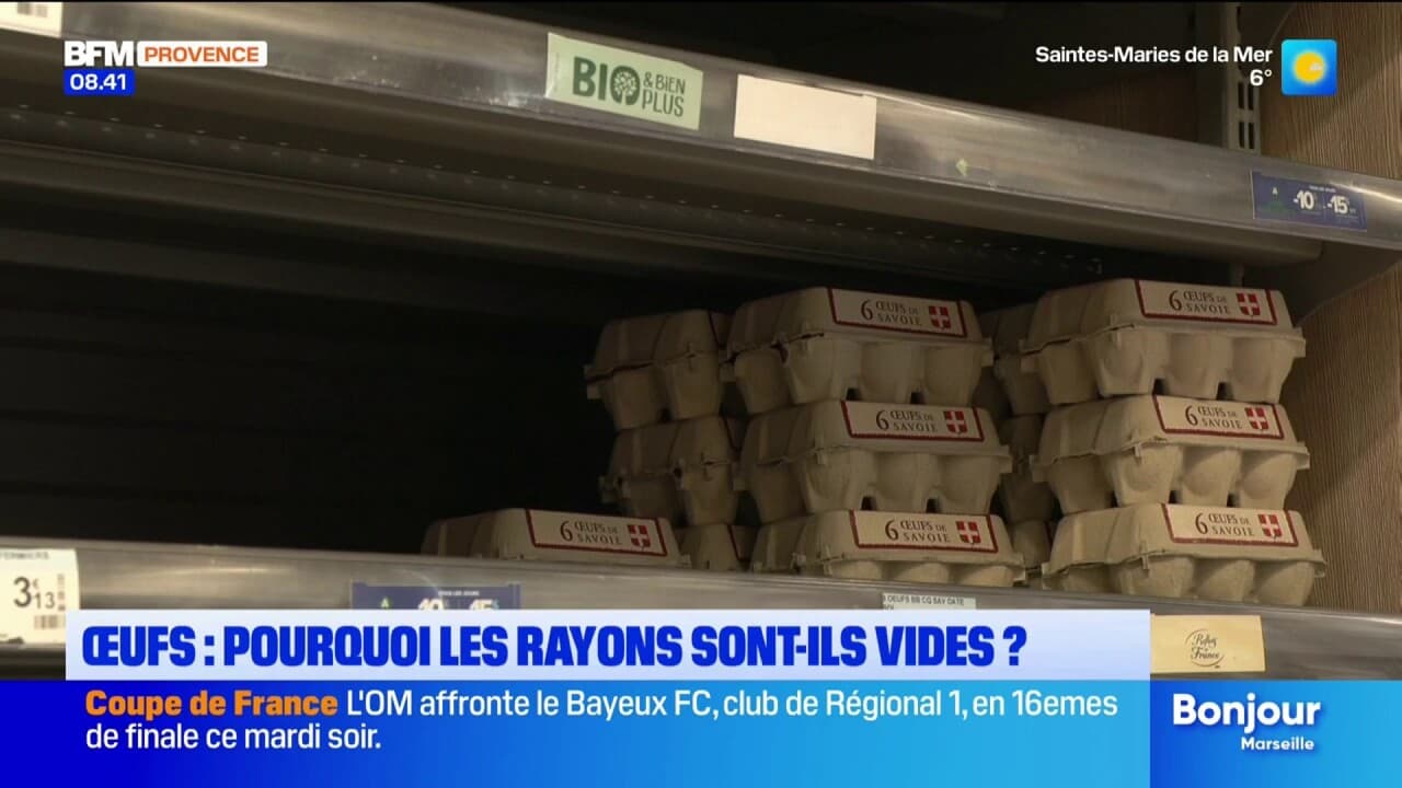 Œufs : pourquoi les rayons sont-ils vides