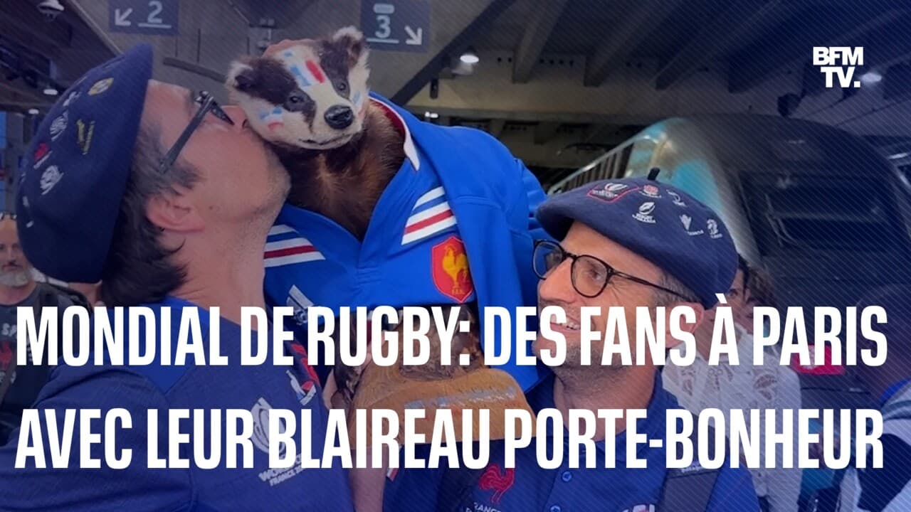 Mondial de rugby: des supporters arrivent à Paris avec leur "blaireau ...