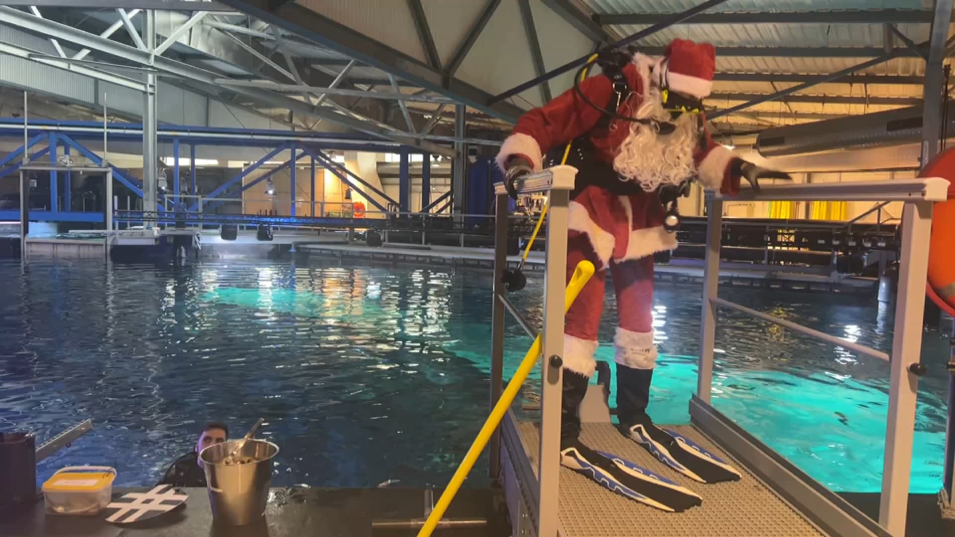 "Ça nous émerveille": le Père Noël s'offre une plongée dans l'aquarium ...