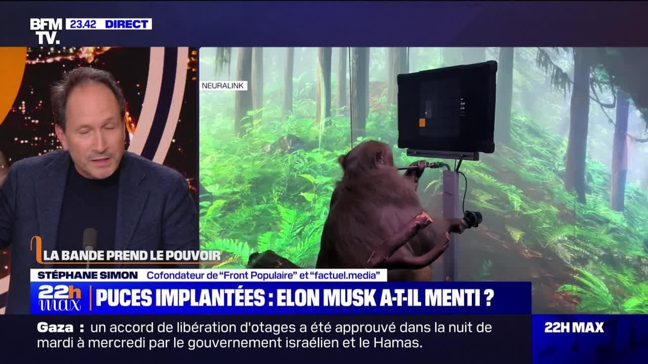 Les ratés des puces implantées dans le cerveau - 23/11 Les ratés des puces implantées dans le cerveau - 23/11