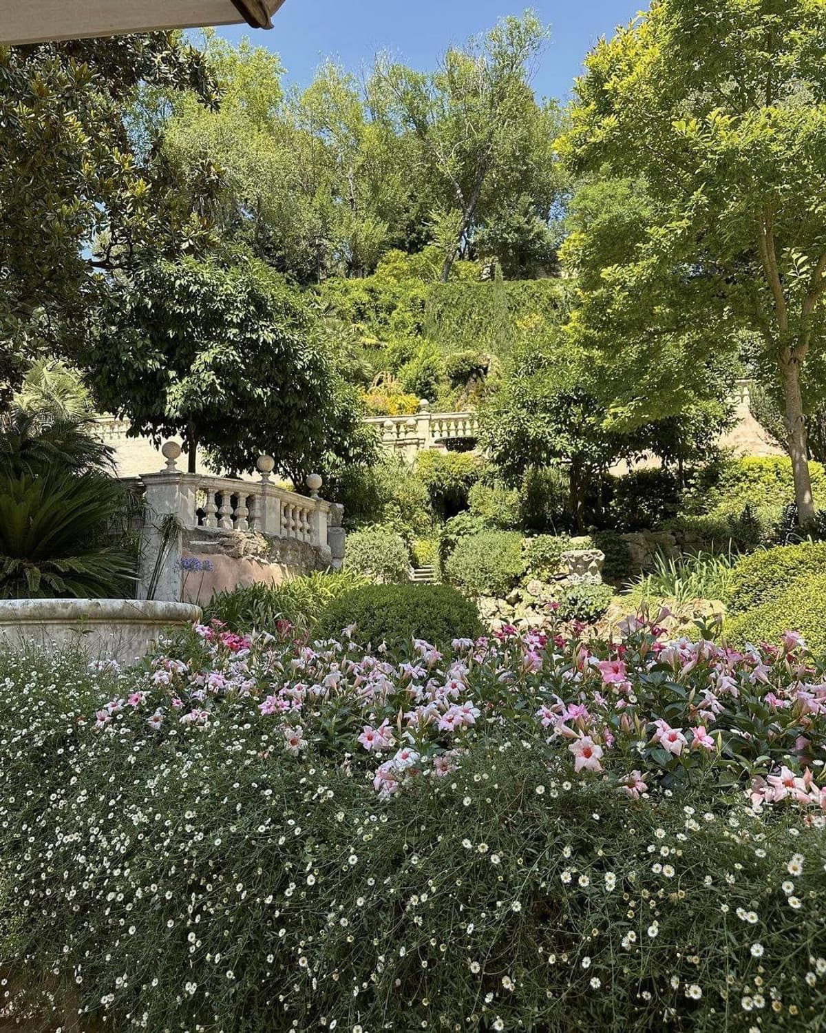 Un dîner au cœur du plus beau jardin de Rome: la nouvelle initiative ...