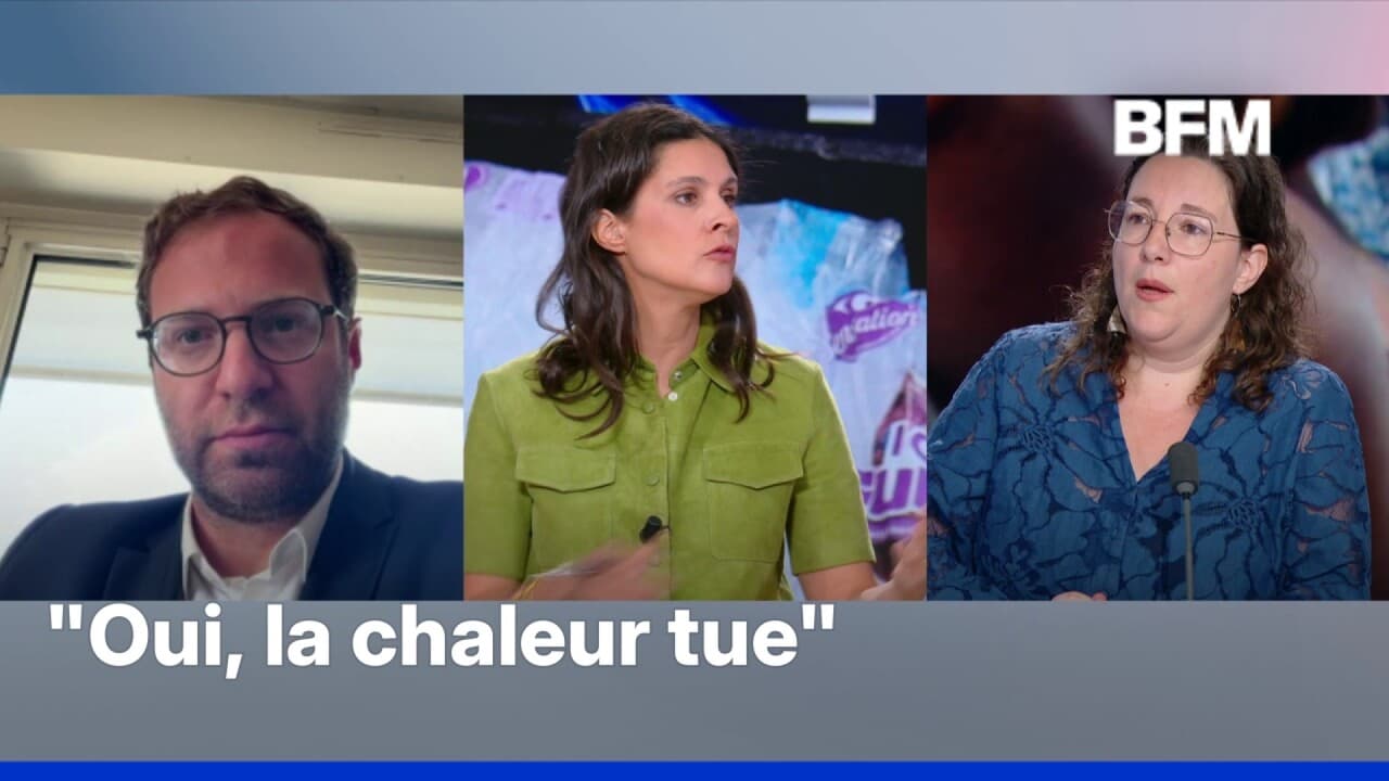 Cyrielle Chatelain, députée écologiste, pointe "un gouvernement ...
