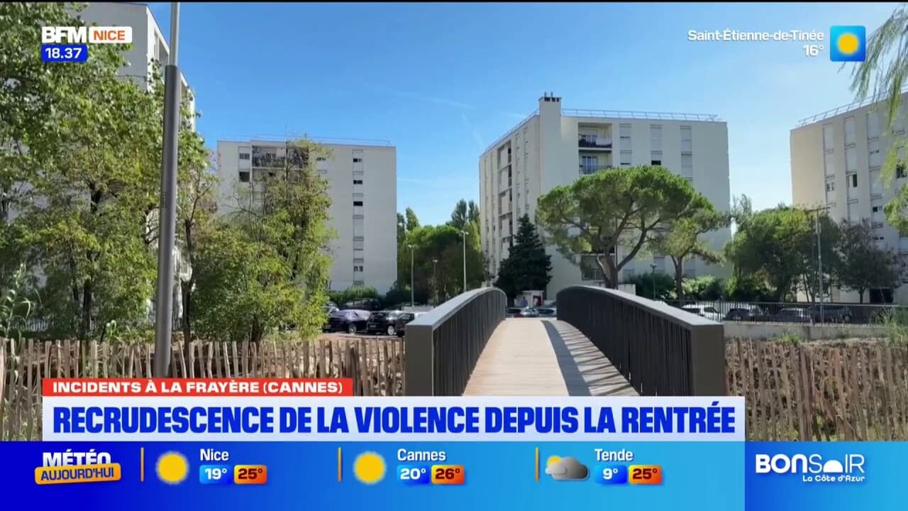 Incidents à la Frayère (Cannes) : Recrudescence de la violence depuis ...