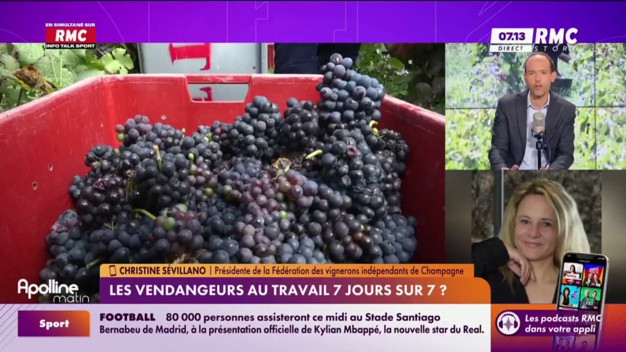 Vendanges : Christine Sévillano, présidente de la Fédération des ...