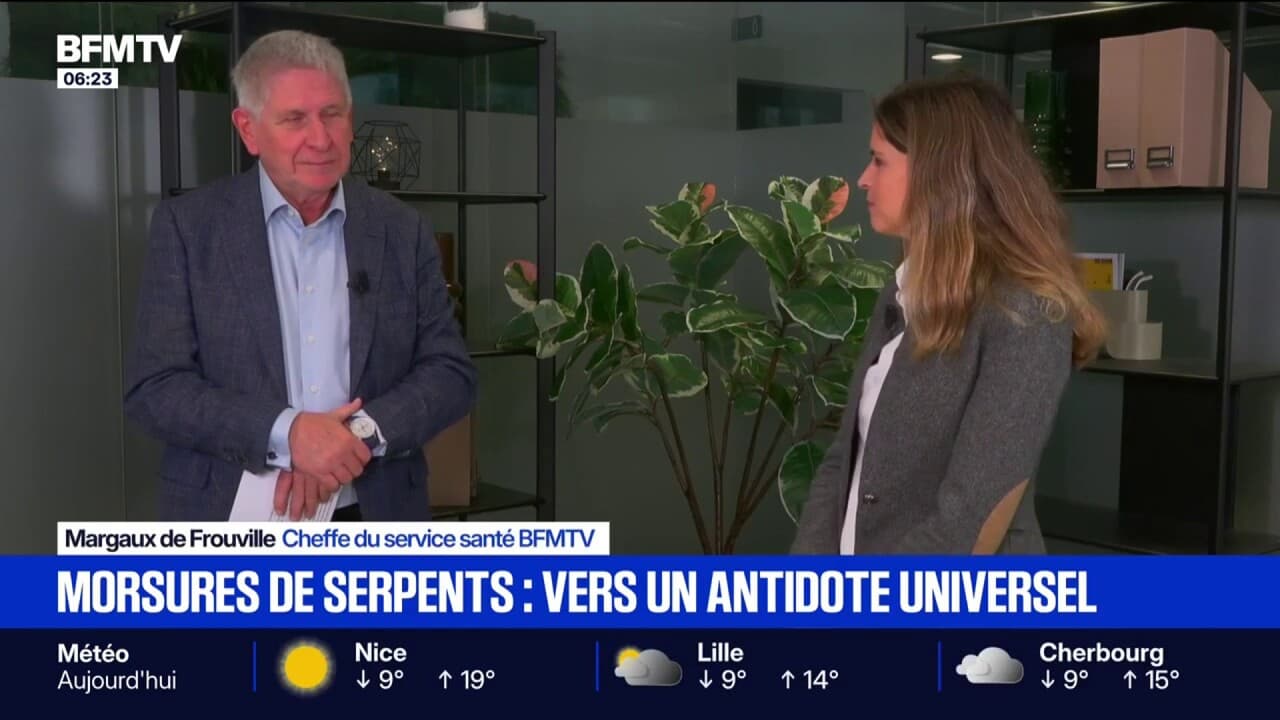 Morsures de serpents: vers un sérum permettant de neutraliser plusieurs ...