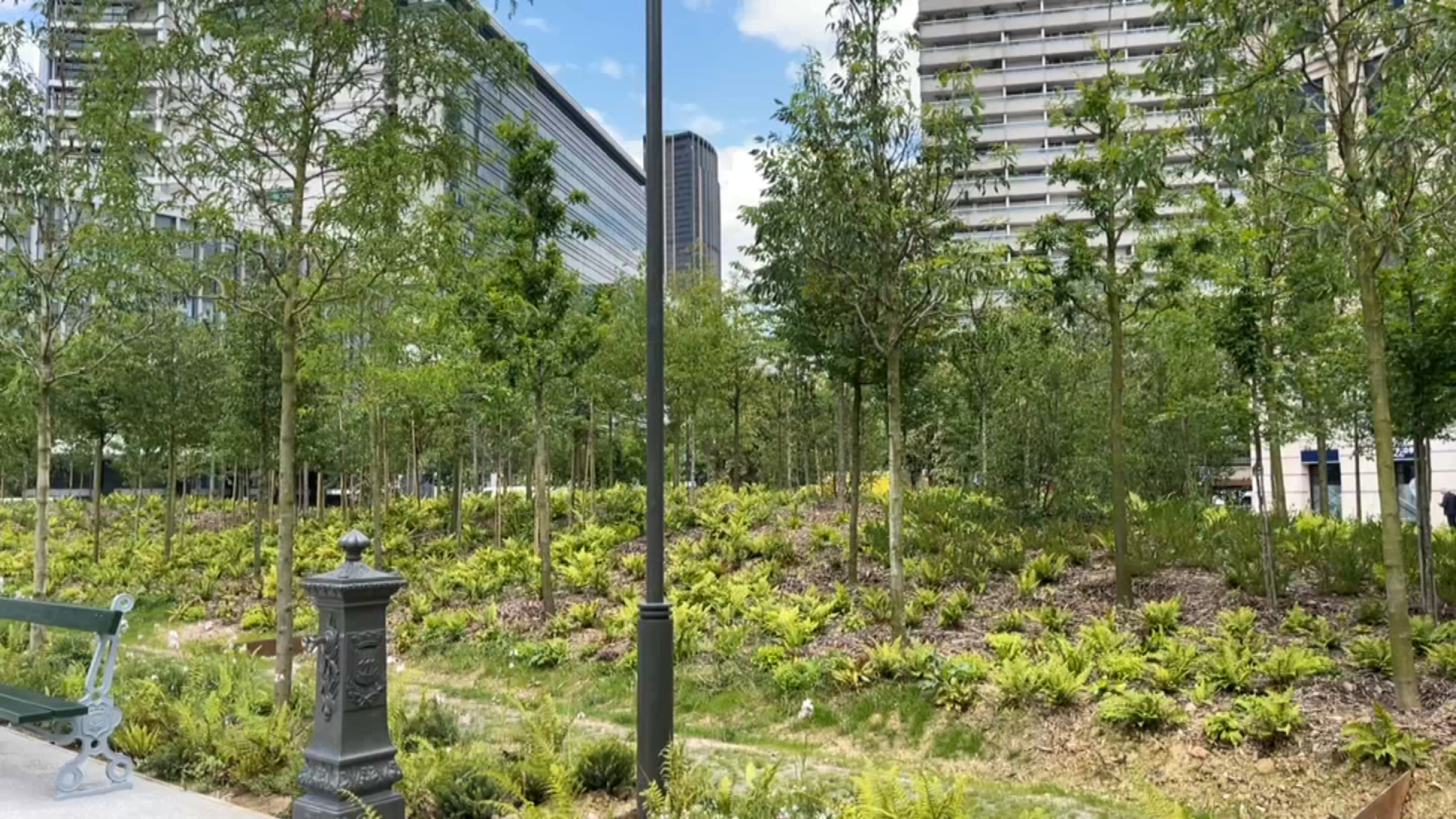 Paris inaugure sa première "forêt urbaine" dans le 14e arrondissement
