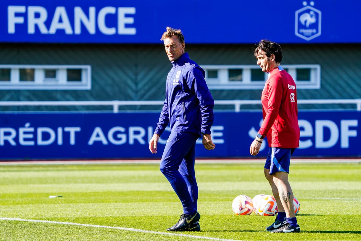 Equipe de France féminine: David Ducci, le monsieur data des Bleues ...