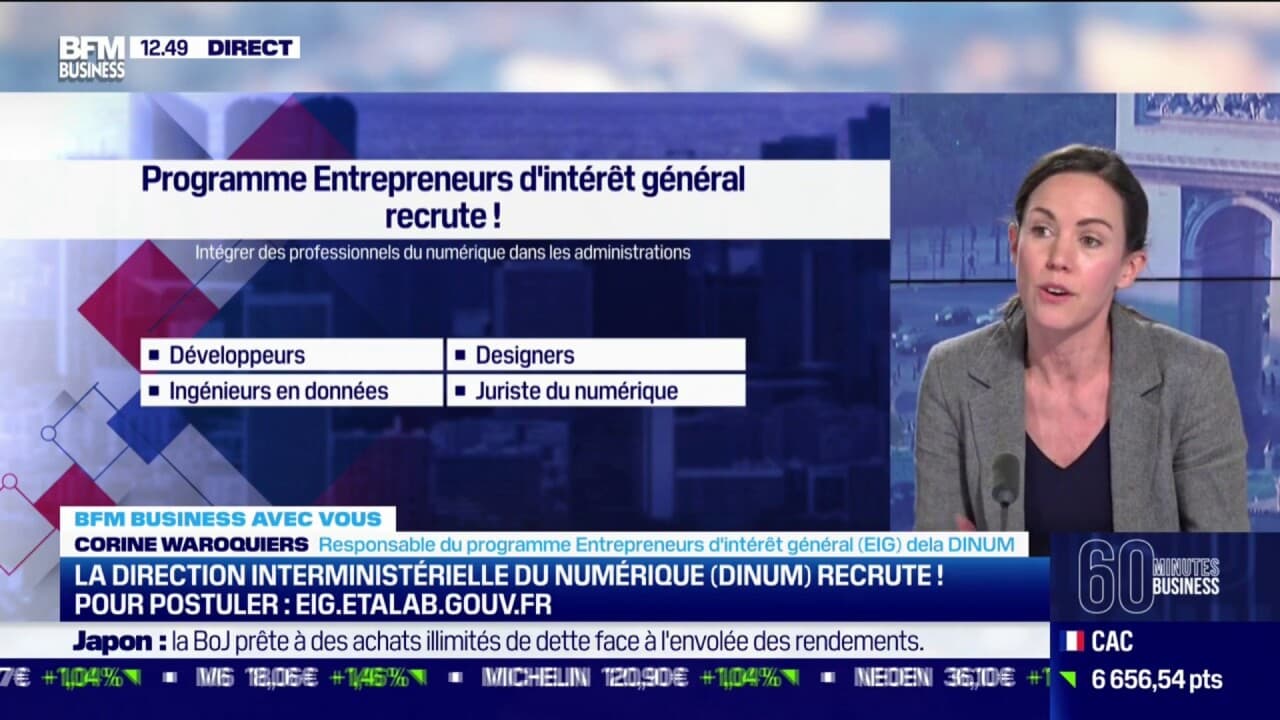 La Direction Interministérielle Du Numérique Dinum Recrute