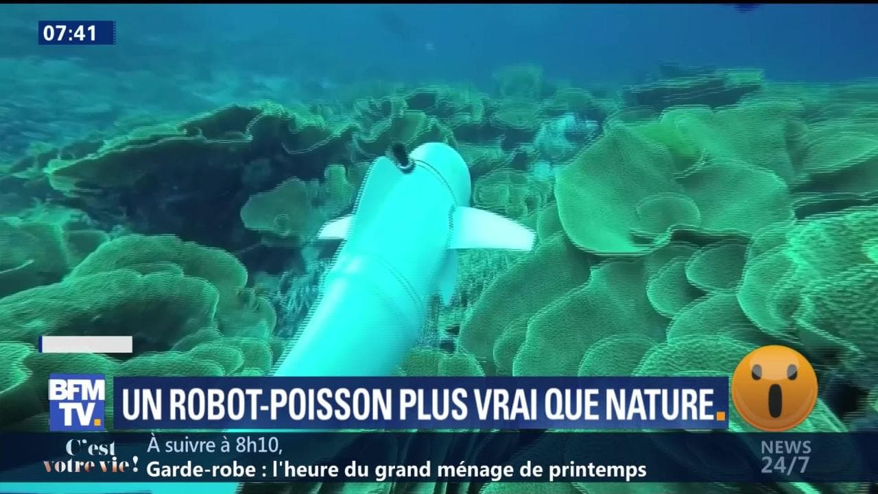 Un robot-poisson plus vrai que nature