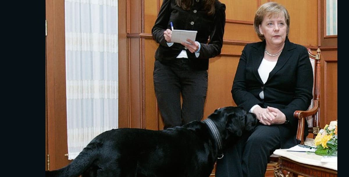 Ces moments gênants que font vivre les chiens de Poutine à ses visiteurs