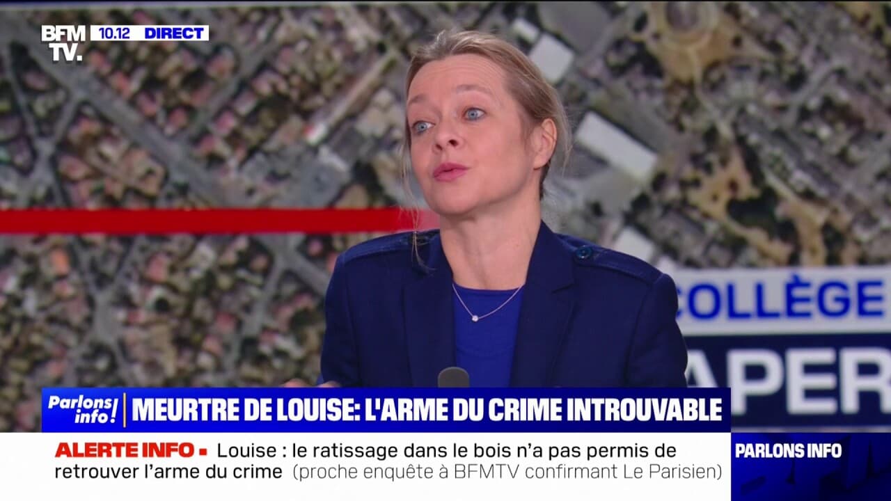 Meurtre de Louise: les recherches dans le bois des Templiers (Essonne) n'ont pas permis de ...