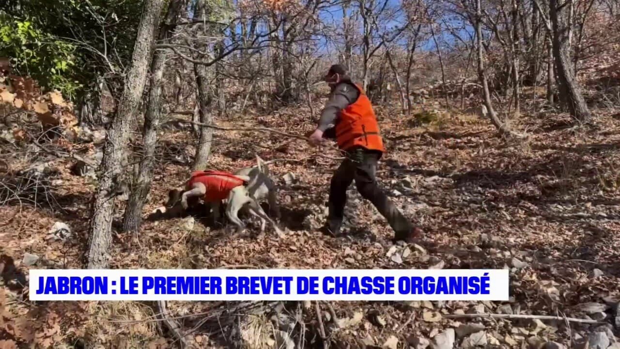 Alpes-de-Haute-Provence : le premier brevet de chasse organisé dans la ...