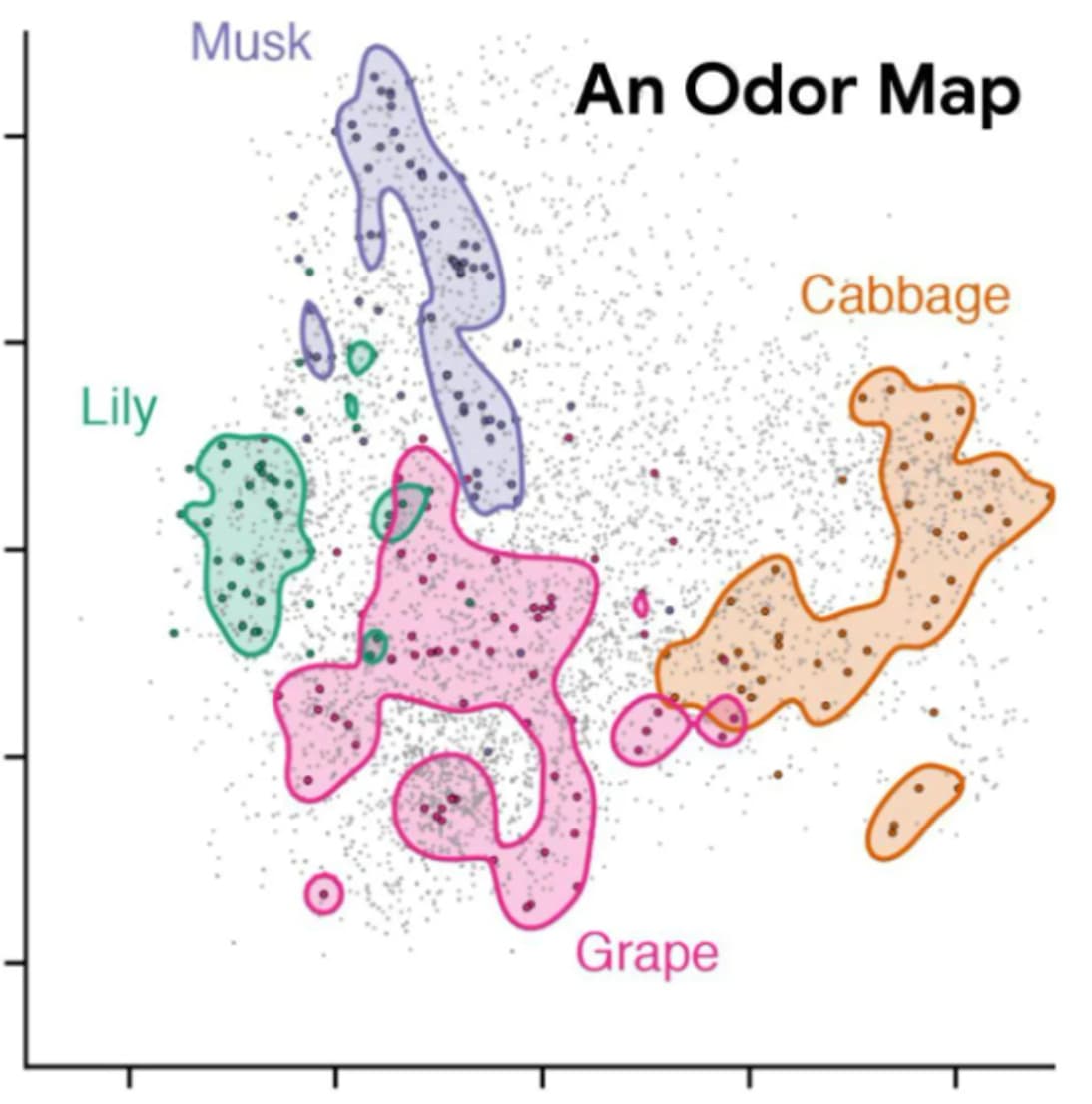 Les parfumeurs vont inventer des parfums qui n'existent pas encore