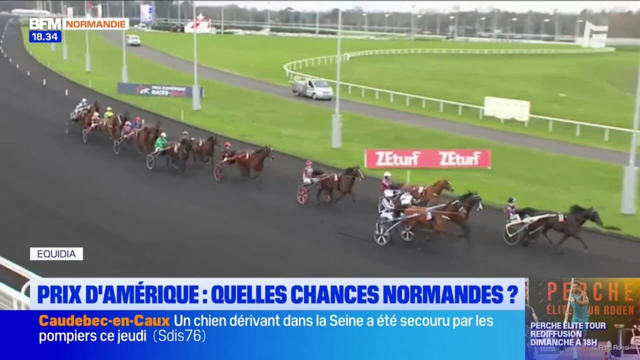 Prix d'Amérique: quelles sont les chances normandes?