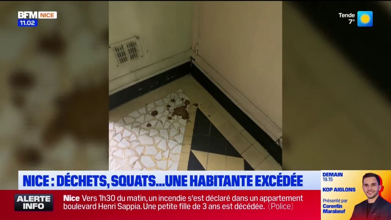 Excréments, cafards: une habitante excédée dénonce ses conditions de ...