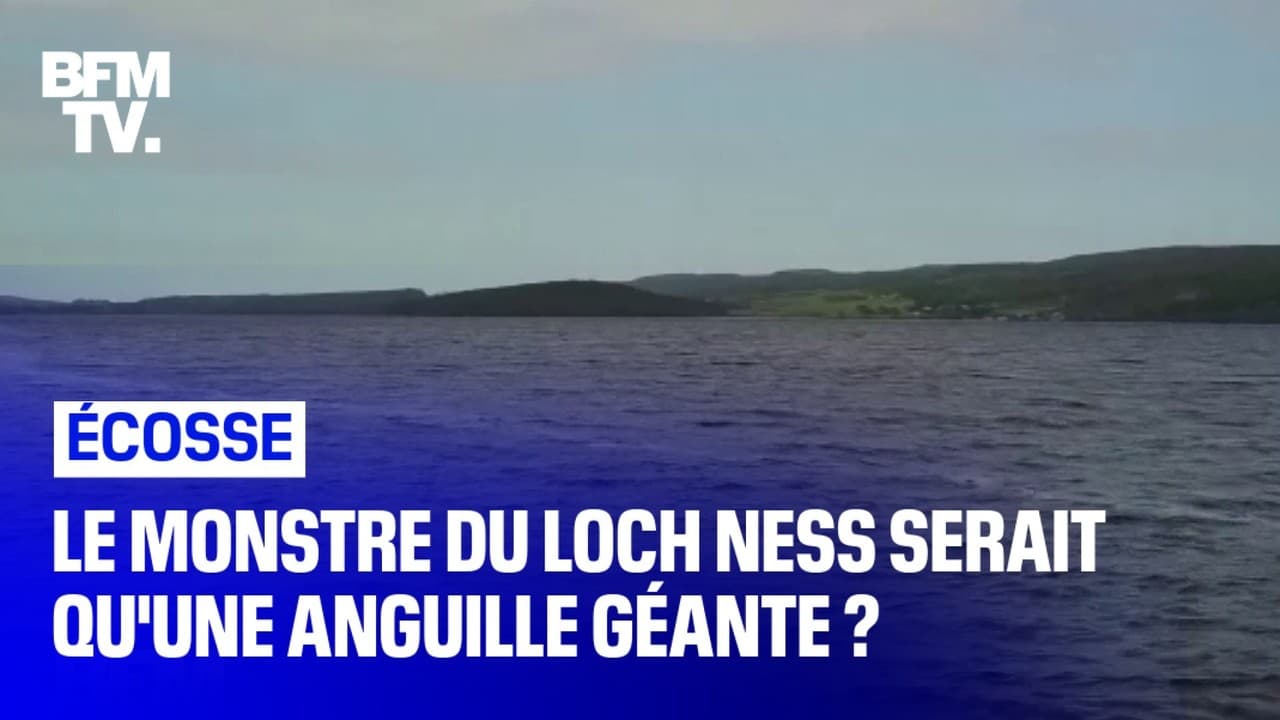 Et si le monstre du Loch Ness n'était qu'une anguille géante