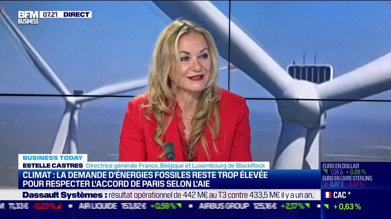 Estelle Castres (BlackRock): Climat, la demande d'énergies fossiles ...