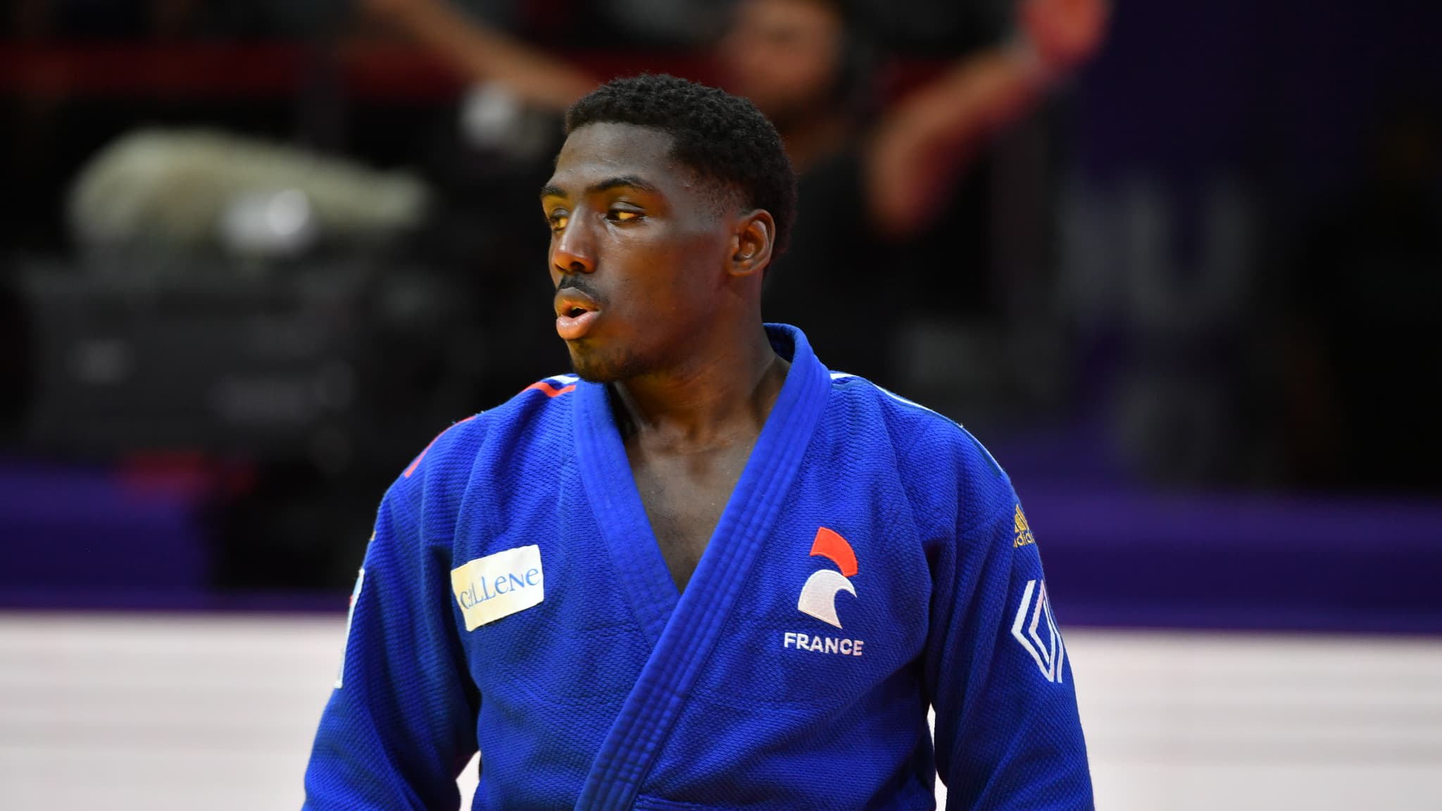 Paris Grand Slam: qui représentera la France en moins de 73 kilos aux ...
