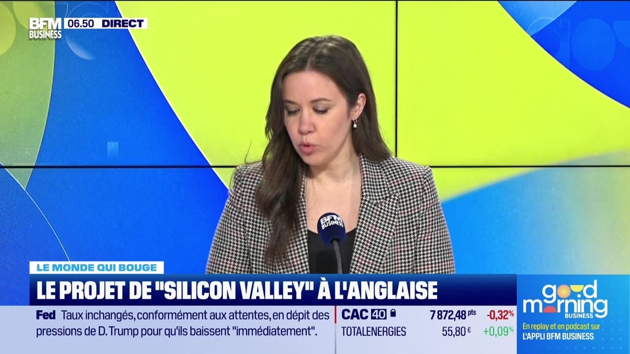 Caroline Loyer : Le projet de "Silicon Valley" à l'anglaise - 30/01
