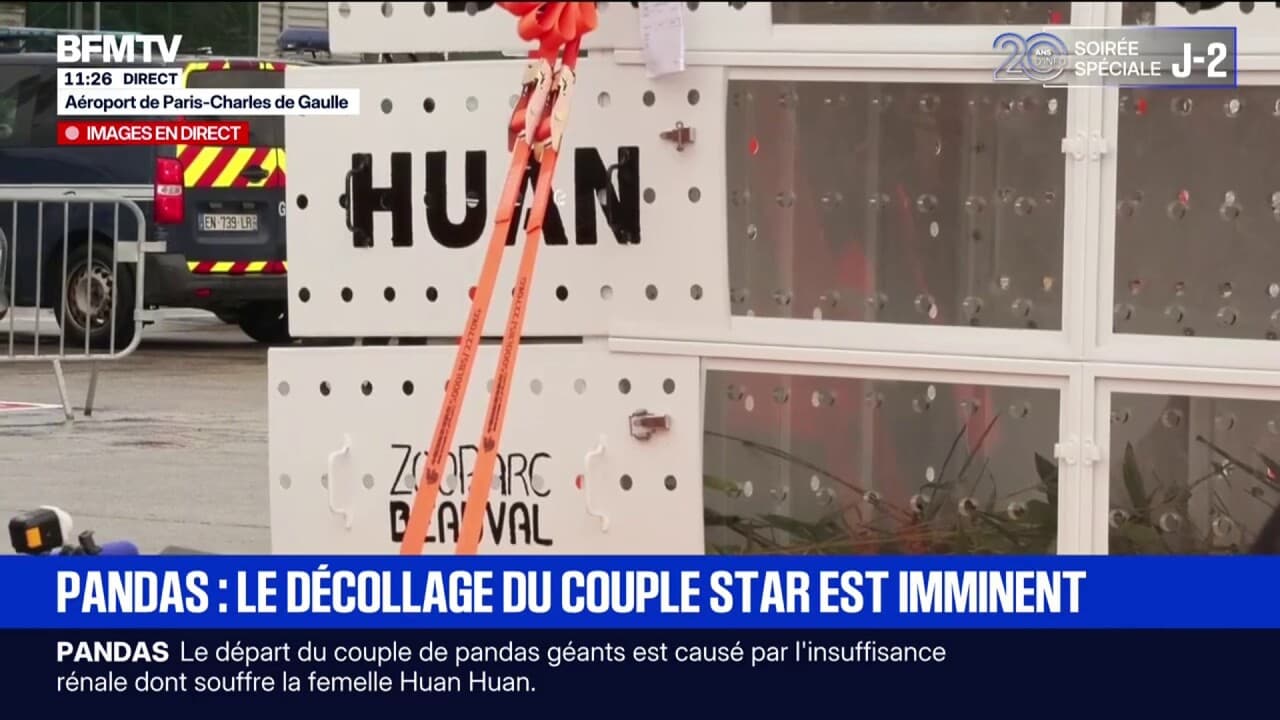 Départ des pandas du zoo de Beauval vers la Chine: le directeur du parc pointe "un couple ...