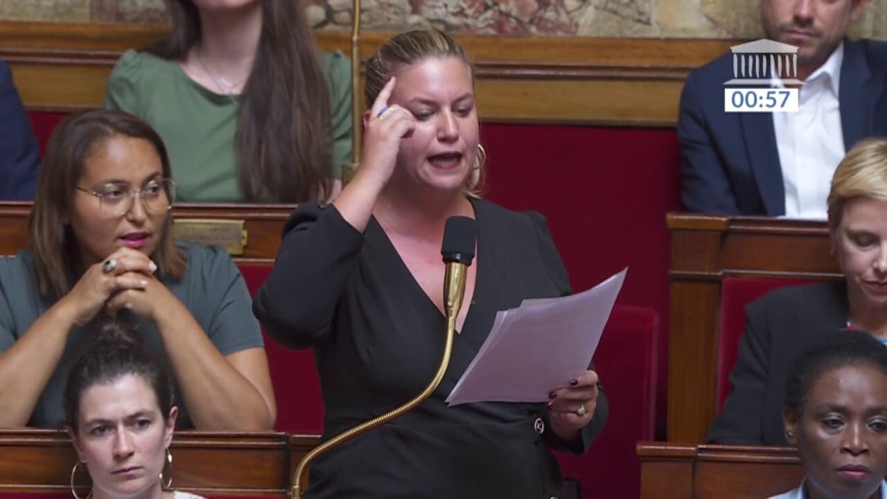 Mathilde Panot (LFI) à Élisabeth Borne: "Vous voulez faire peser sur ...
