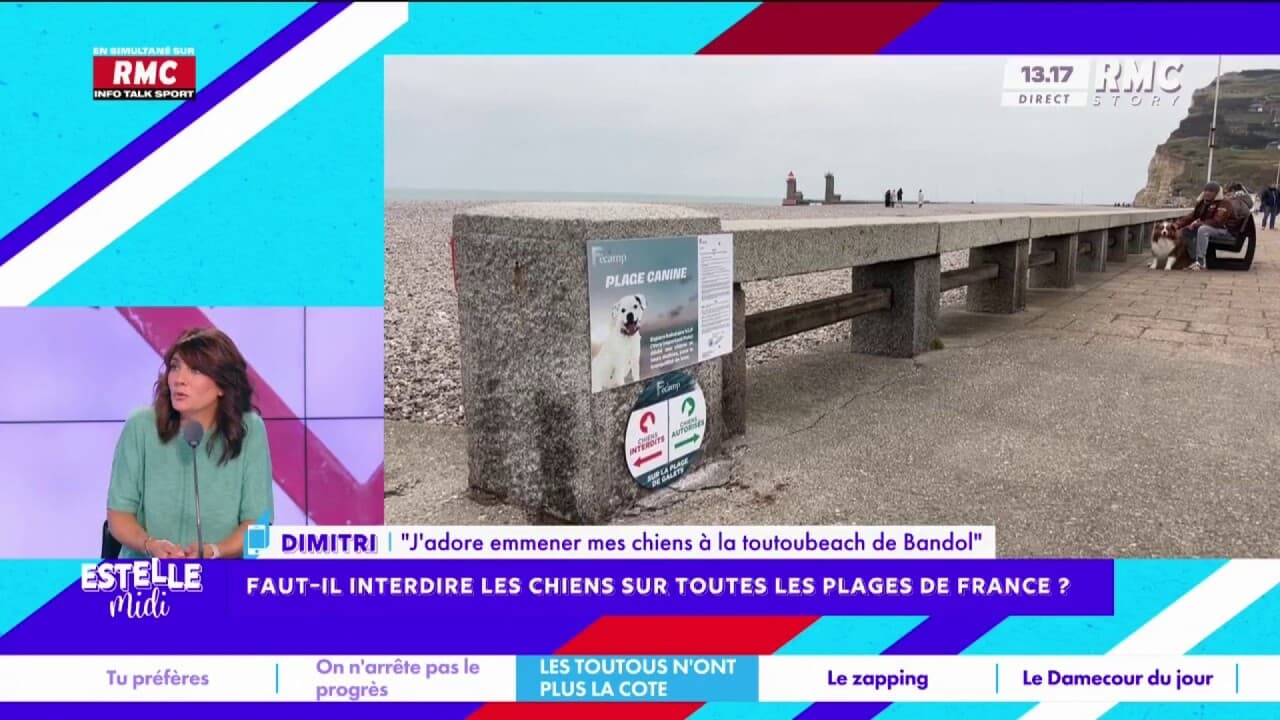 Interdire les chiens sur les plages : "Ce sont plutôt les maîtres qu'il ...
