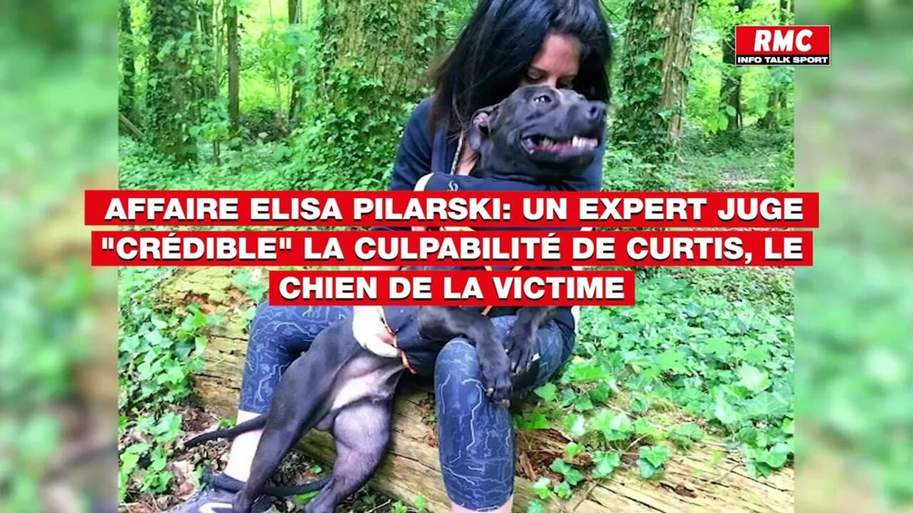Affaire Elisa Pilarski: la culpabilité de Curtis, le chien de la ...