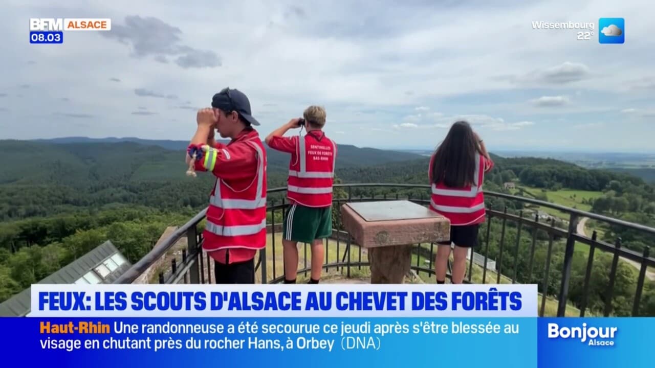 Incendies de forêts: les scouts d'Alsace engagés sur la prévention des feux