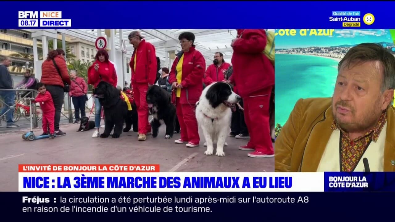 "Les Niçois aiment les animaux": la 3e Marche des animaux a eu lieu ce ...