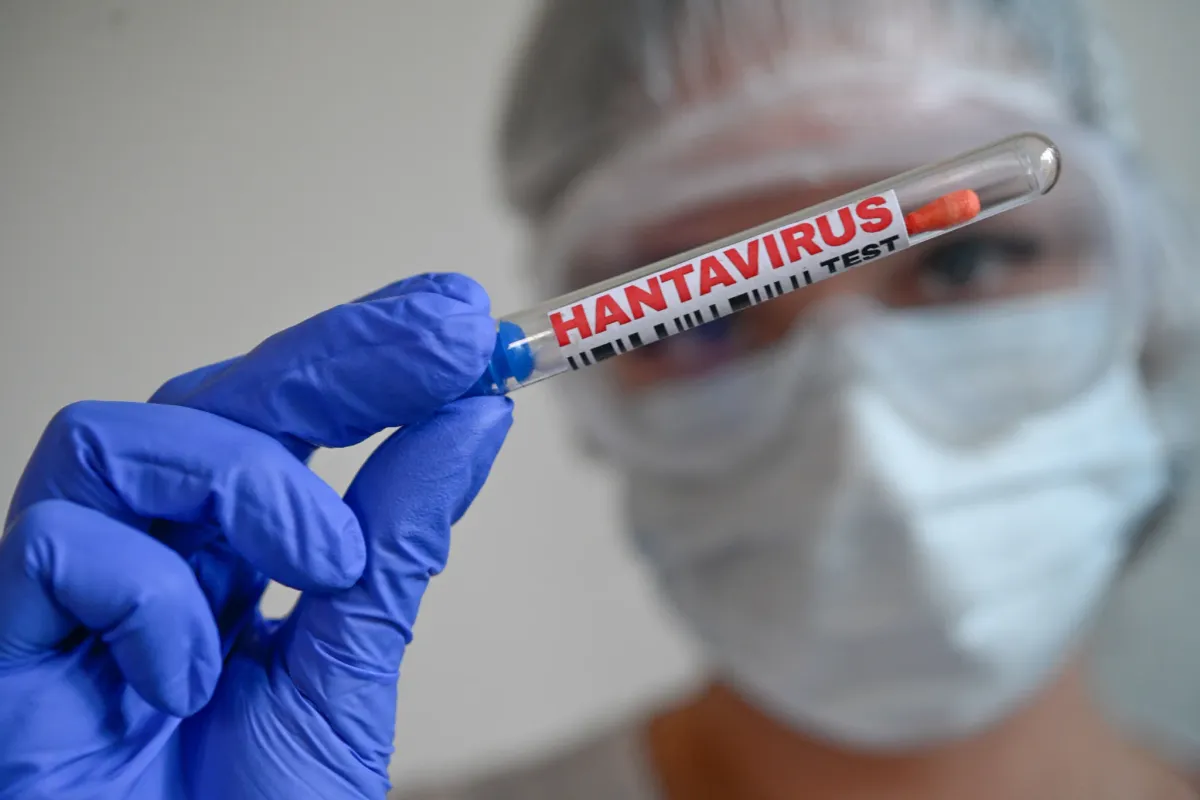 DIRECT. Hantavirus: le MV Hondius fait route vers les Pays-Bas après l ...