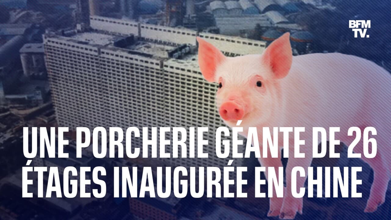 Une porcherie géante de 26 étages inaugurée en Chine