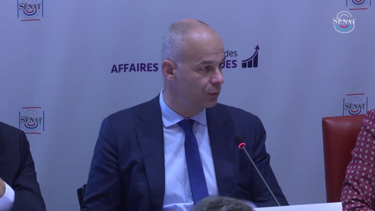 Audition d'Arnaud Rousseau au Sénat: "La France agricole ne peut pas se ...