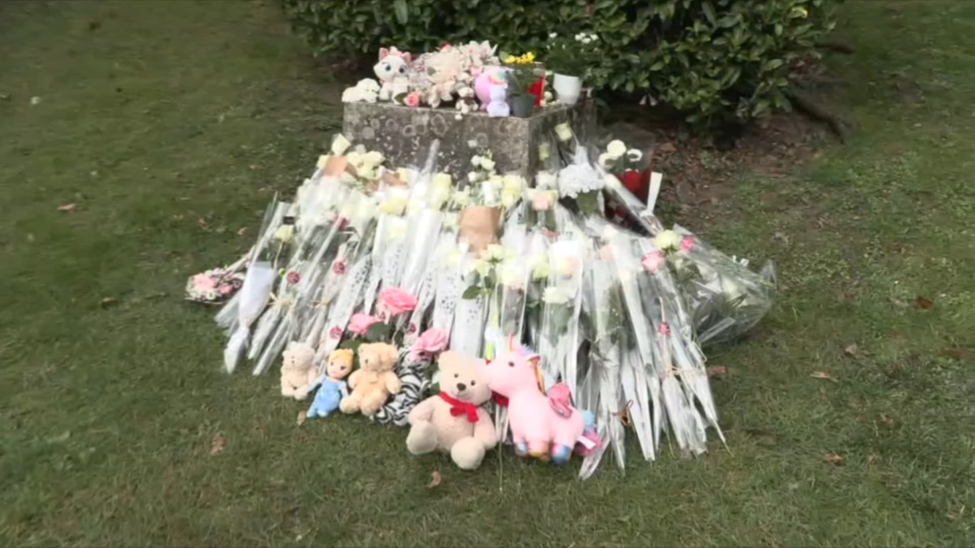Eure: plusieurs centaines de personnes rendent hommage à Lisa, 3 ans ...