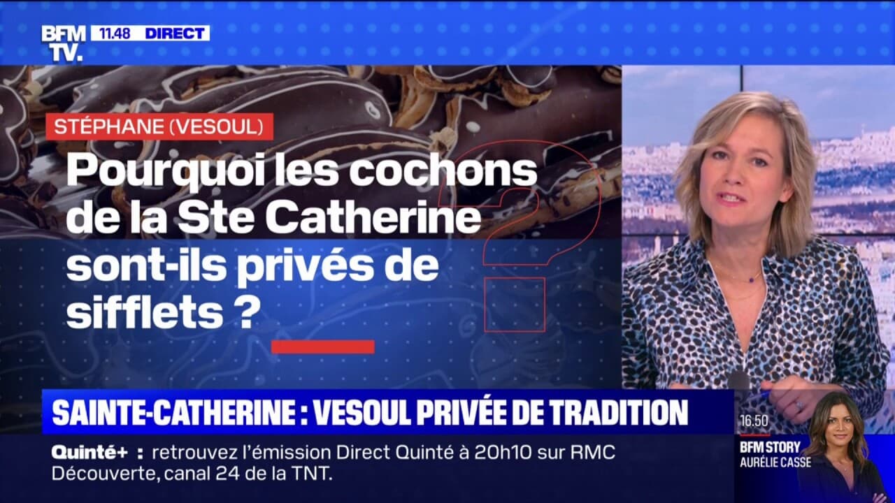 Pourquoi les cochons de la Sainte-Catherine sont-ils privés de sifflets ...