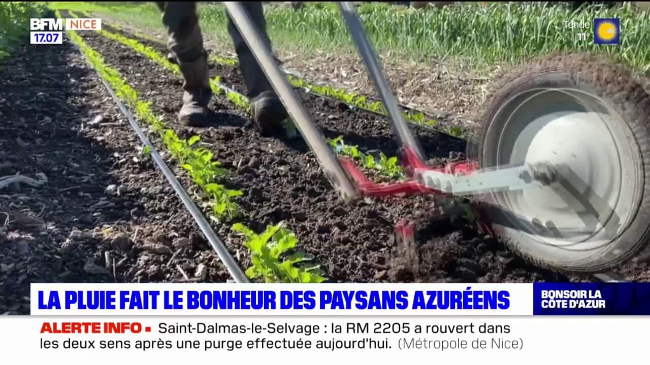 Un record de pluie en mars dans les Alpes-Maritimes enchante les ...