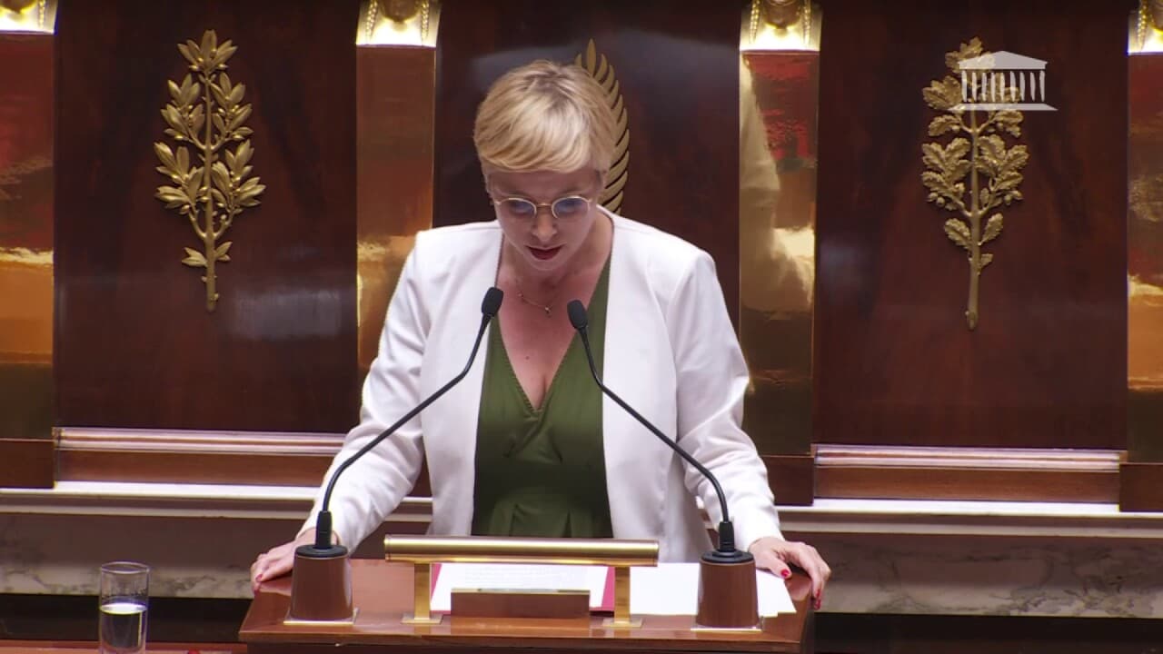 Clémentine Autain (LFI): Clémentine Autain (LFI):