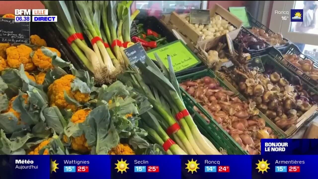 Nord: la récolte de nombreux fruits et légumes est en avance