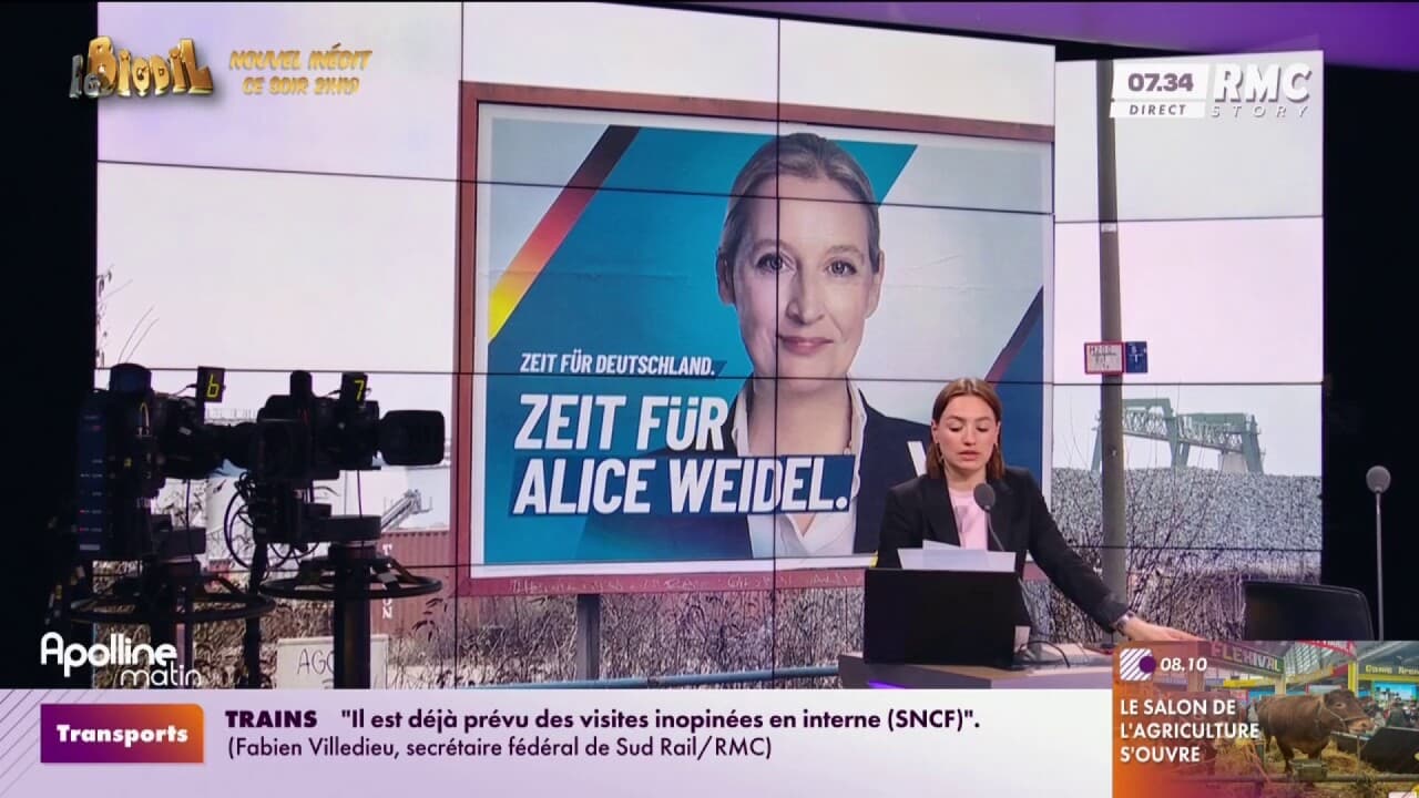 Élections législatives allemandes: l'AfD, parti d'extrême droite, a le ...