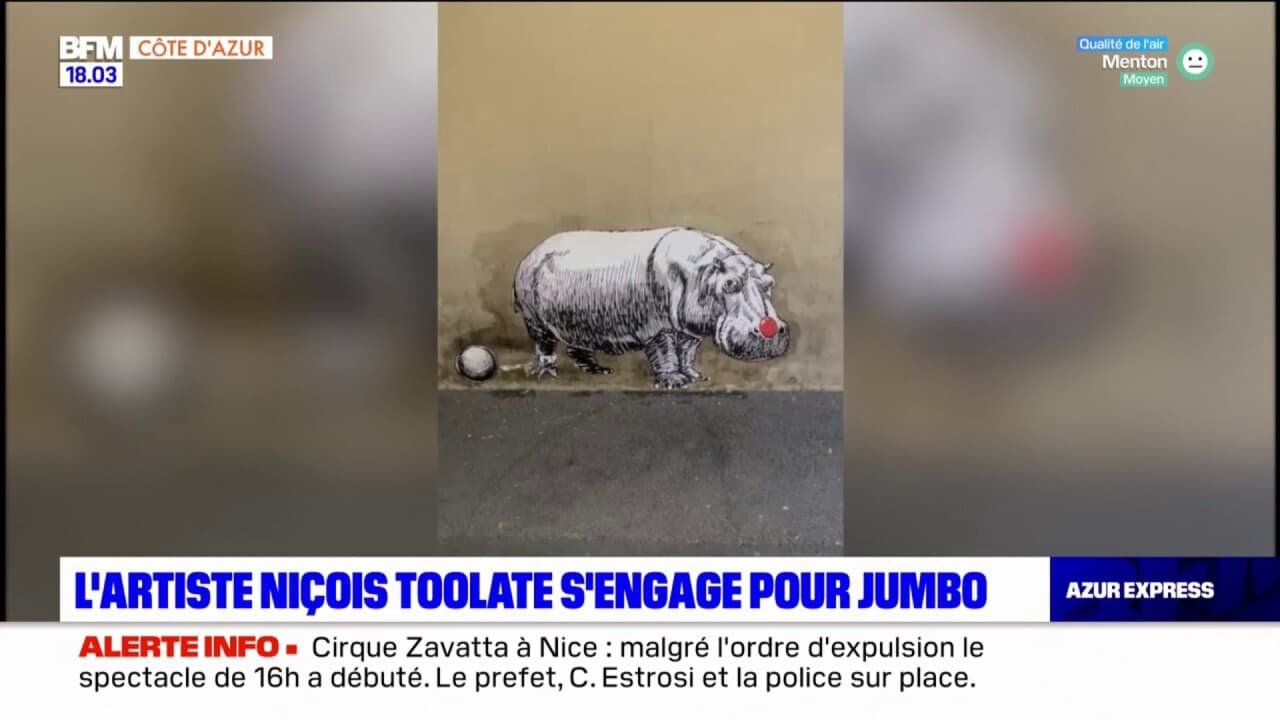 Nice: l'artiste Toolate s'engage pour Jumbo, l'hippopotame du cirque ...
