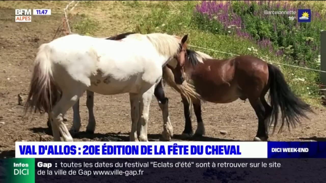 Val d'Allos: 20e édition de la fête du cheval