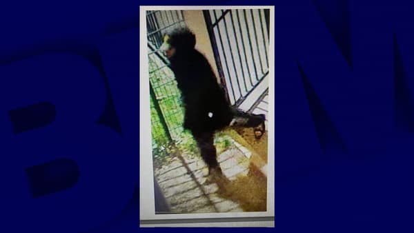 Famille tuée à Meaux: comment la videosurveillance a permis l ...