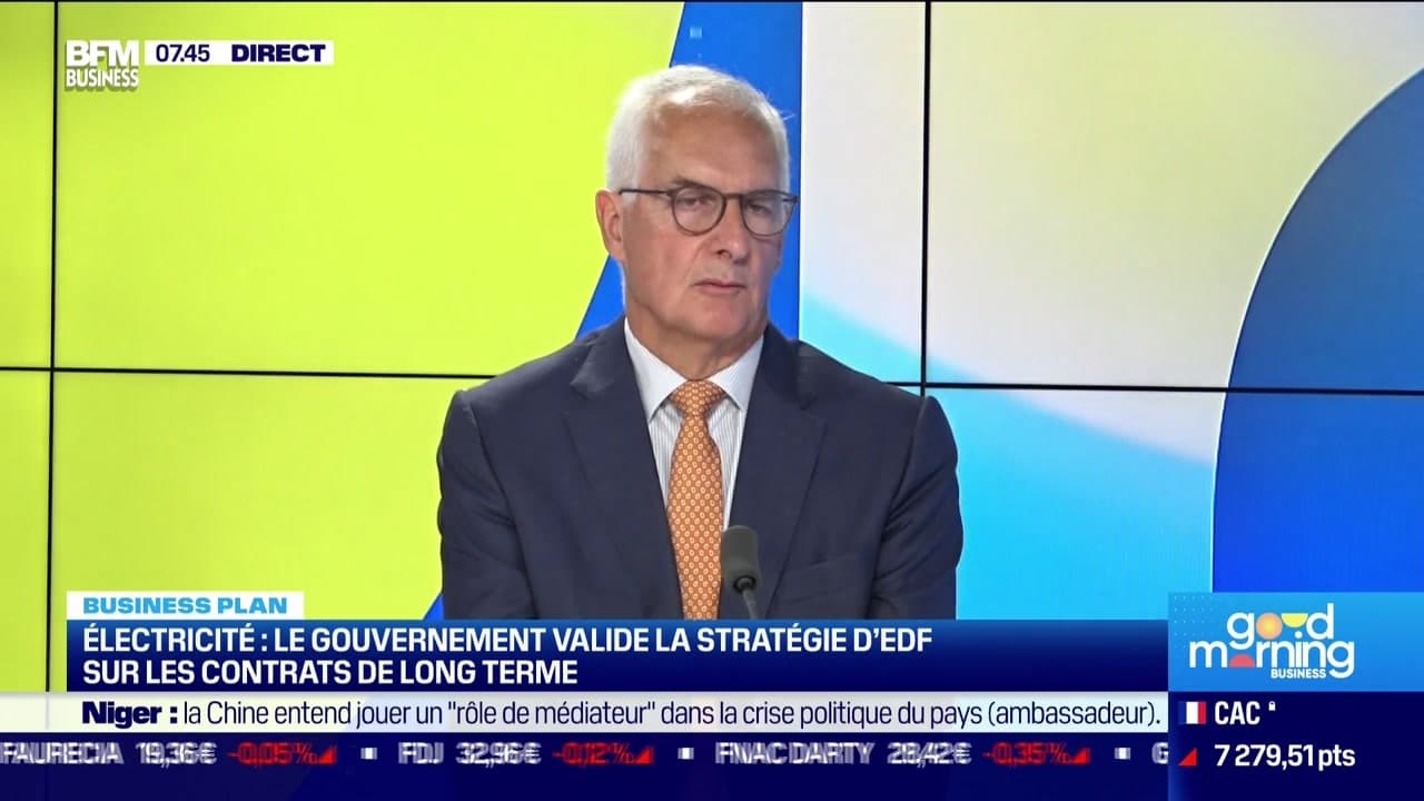 Nicolas de Warren (Uniden) : Électricité, la nouvelle stratégie d'EDF ...