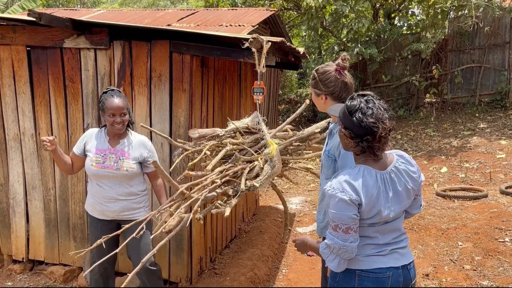 EcoAct : mettre le climat et la nature au cœur des actions pour une ...