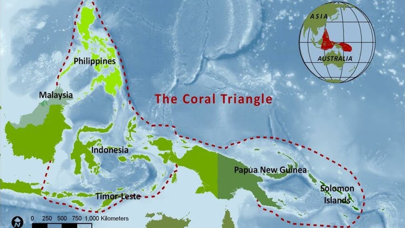 Deux ans de voyage, six pays traversés, 1.500 plongées... Qu'est-ce que ...