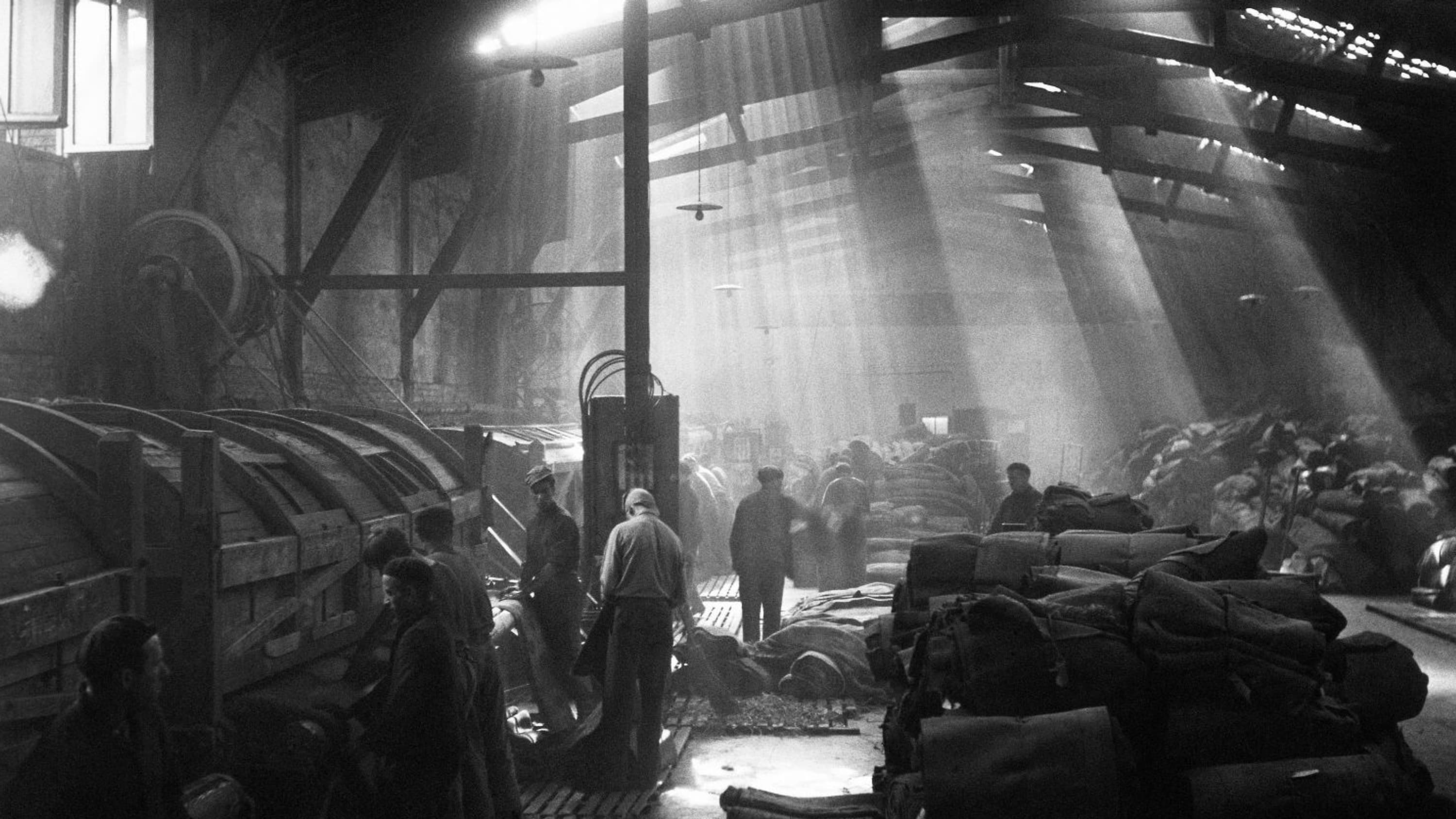 Robert Doisneau: la plus grande exposition consacrée au photographe depuis 20 ans ouvre à Paris