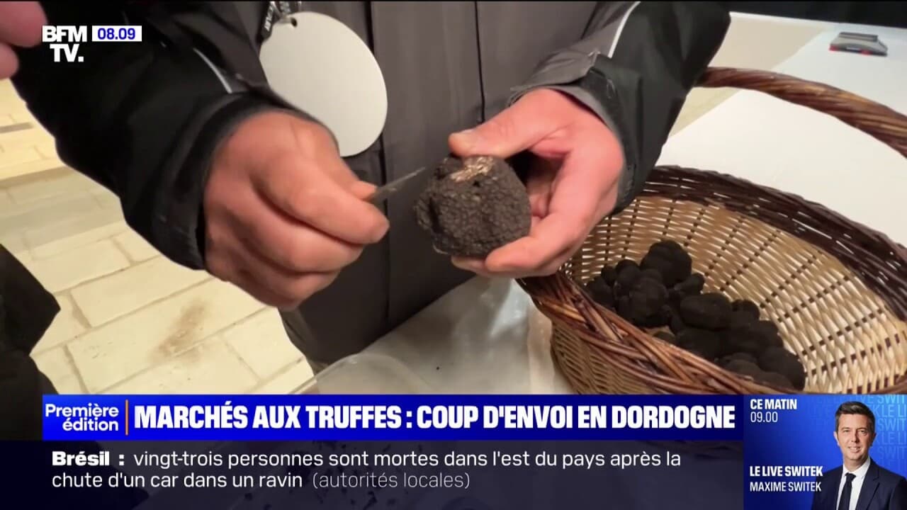 En Dordogne, la saison de la truffe est lancée avec l’ouverture du ...