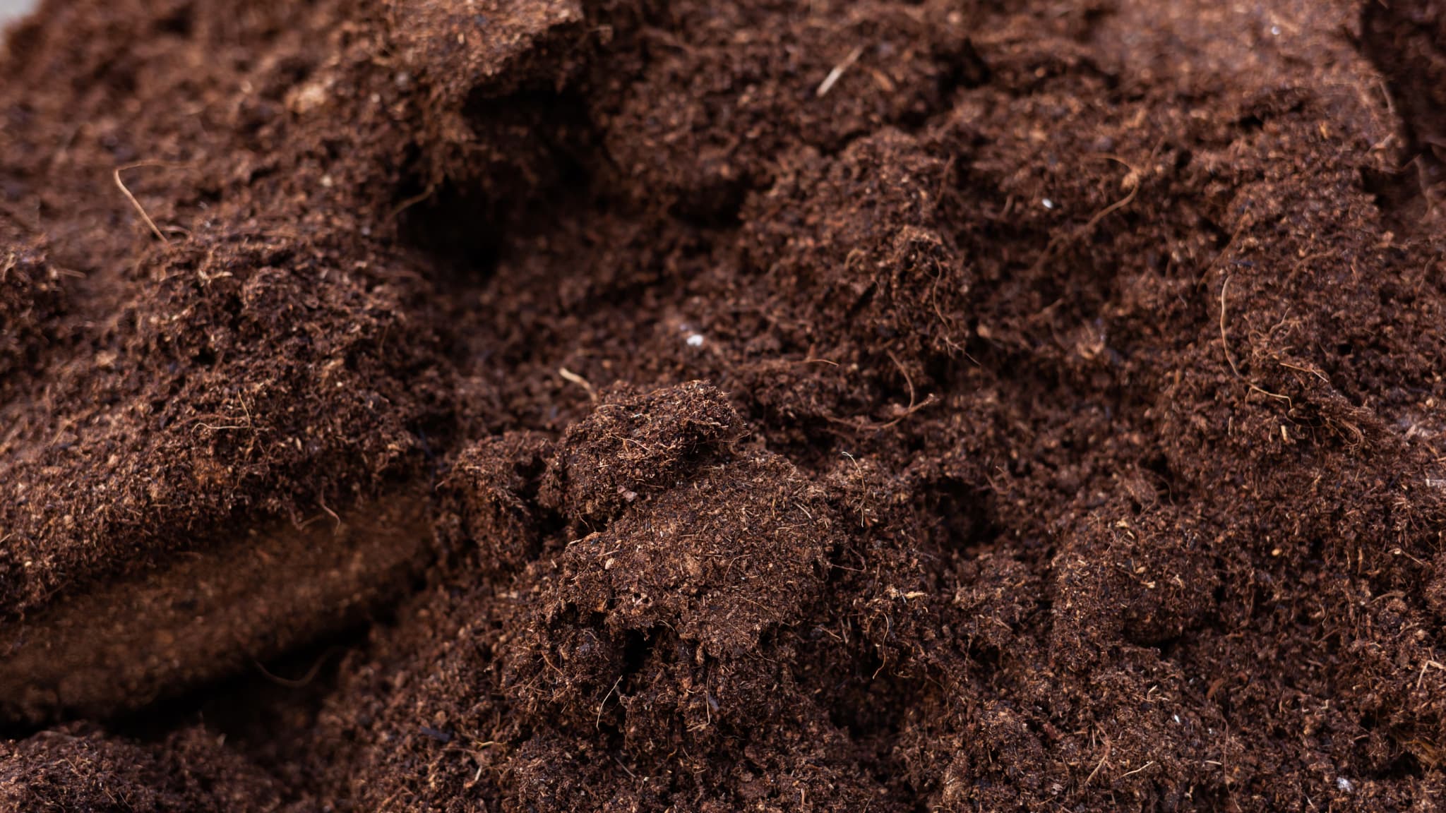 "Il nous faut un référentiel", le CNRS explore la piste du compostage ...